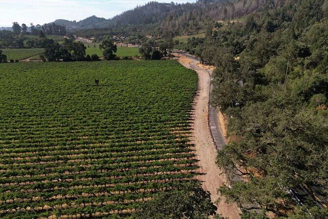 Vine Trail Discovery E-Bike Tour - Authentic Insights from Participants