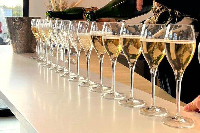 Vineyard and Triple Tasting First Cru in the Mountains of Reims - Authentic Experiences from Reviewers