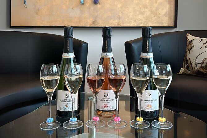 Vineyard and Triple Tasting First Cru in the Mountains of Reims - The Value of This Tour