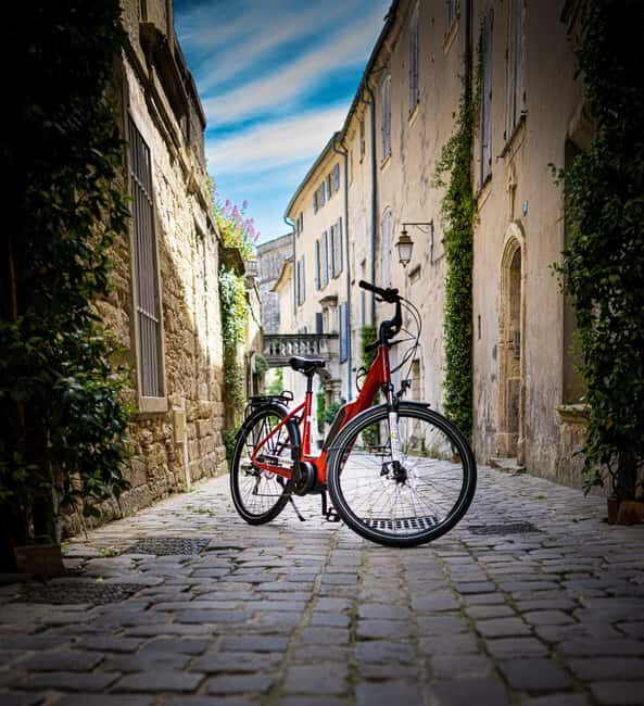 Vineyard of the Alpilles by bike - Introduction: Why This Tour Stands Out