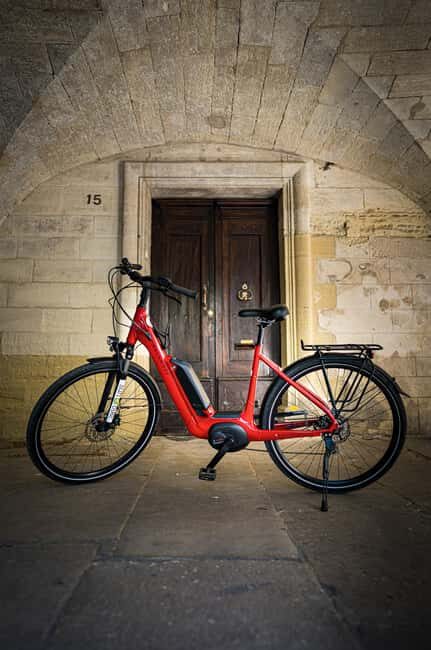Vineyard of the Alpilles by bike - The Vineyard Experience: Tasting the Flavors of Provence
