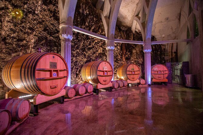 Vineyard of the Alpilles by bike - The Sum Up