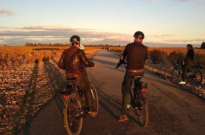 Vineyard of the Alpilles by bike - FAQ