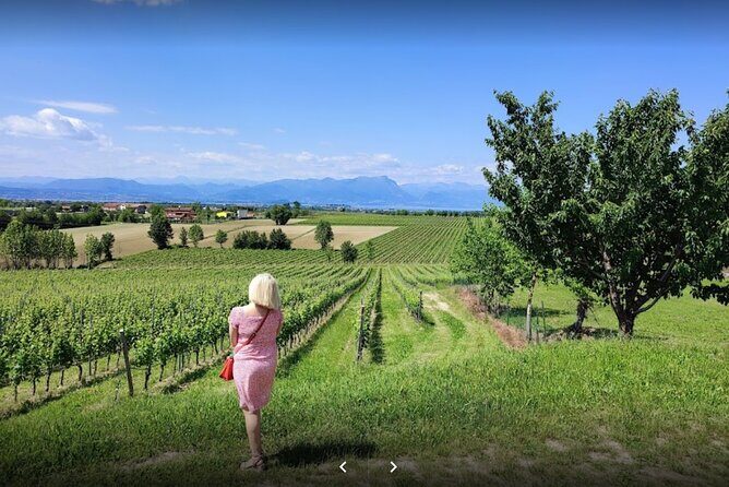 Vineyard Tour and Tasting of Lugana Wines - An In-Depth Look at the Vineyard Tour and Tasting of Lugana Wines