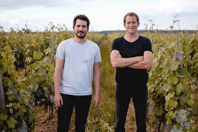 Vineyard tour and wine tasting in Davron - The Sum Up