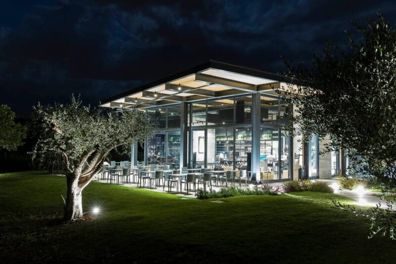 Vineyard Tour and Winery Visit with Tasting of Wines of Romagna - Key Points