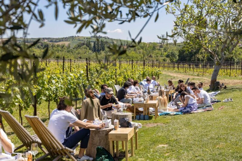 Vineyard Tour and Winery Visit with Tasting of Wines of Romagna - Who Will Love This Experience?