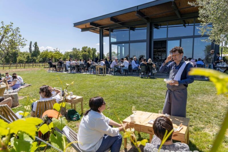 Vineyard Tour and Winery Visit with Tasting of Wines of Romagna - Frequently Asked Questions