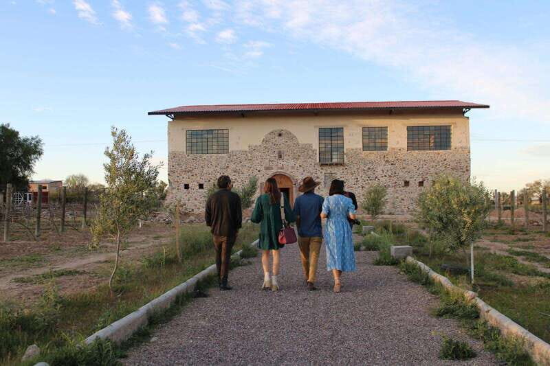 VINEYARD TOUR - Key Points