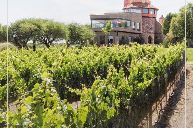 Vineyard, tour, tasting and fun in San Miguel de Allende - Authentic Experiences and Review Highlights