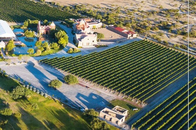 Vineyard, tour, tasting and fun in San Miguel de Allende - Who Should Consider This Tour?