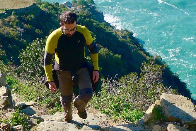 vineyard tour & wine tasting - Key Points