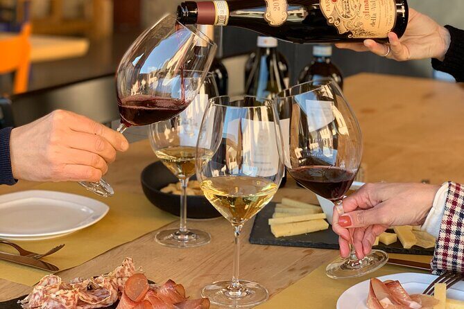 Vineyard Tour with Light Lunch in Valpolicella - An In-Depth Look at the Vineyard Tour with Light Lunch in Valpolicella