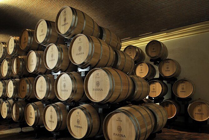 Vineyard Tour with Light Lunch in Valpolicella - Key Points