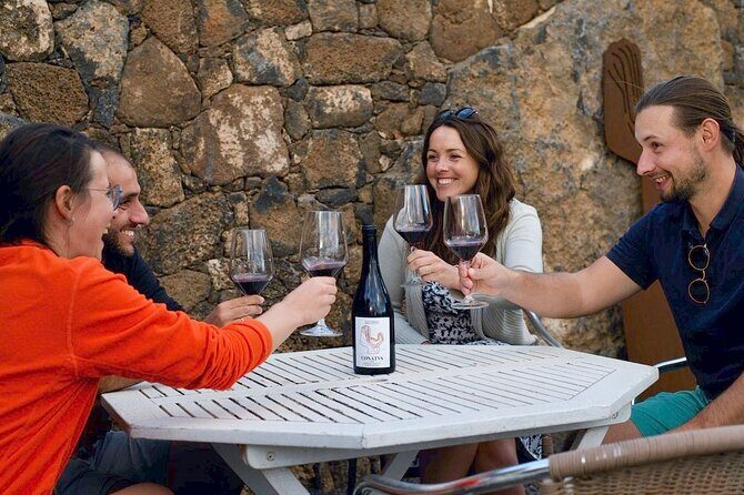 Vineyard tour with wine tasting and local products - A Detailed Look at the Fuerteventura Vineyard Tour with Tasting