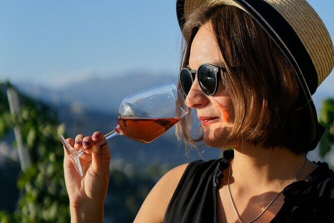 Vineyard Tour with Wine Tasting within Nice city borders - Authentic Experiences and Guest Insights