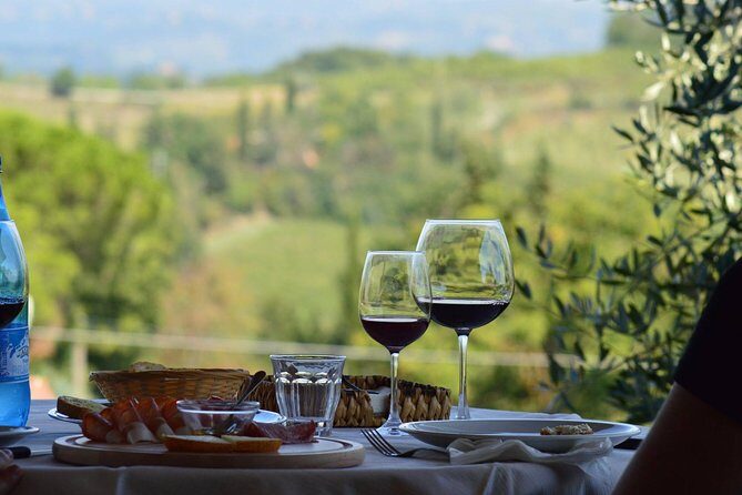 Vineyard visit with local appetisers and wine tasting - Introducing the Vineyard Visit with Local Appetisers and Wine Tasting