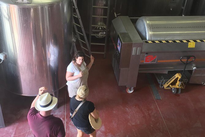 Vineyard visit with local appetisers and wine tasting - Key Points