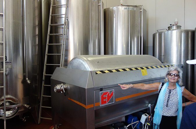 Vineyard visit with local appetisers and wine tasting - Who Will Love This Tour?