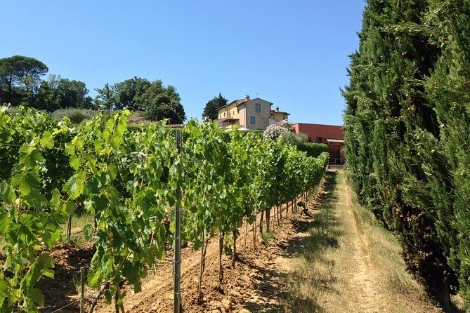 Vineyard visit with local appetisers and wine tasting - Final Words