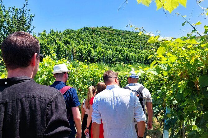 Vineyards, Albanian Wine Tasting & Boat Tour from Tirana/Durres - What to Expect on the Tour