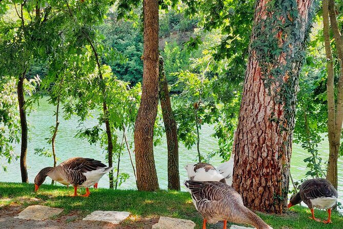 Vineyards, Albanian Wine Tasting & Boat Tour from Tirana/Durres - Final Thoughts