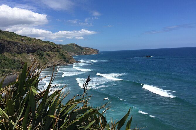 Vineyards Honey and Black Sand Beaches from Auckland - An In-Depth Look at the Tour Experience
