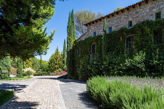 Vineyards, Wine Tasting and Pairing in San Miguel - Vineyards, Wine Tasting and Pairing in San Miguel: A Detailed Review