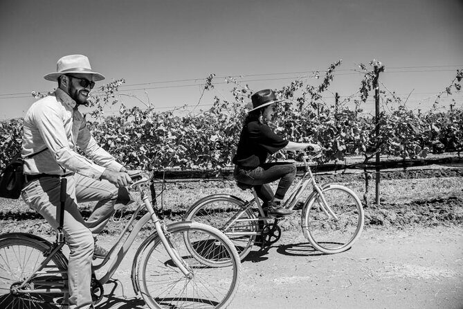 Vineyards, Wine Tasting and Pairing in San Miguel - Practical Tips