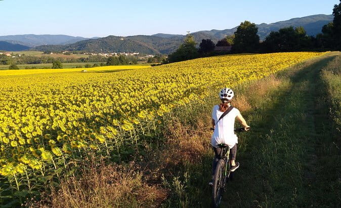 Vintage Fiat 500 Wine Tour and Tuscan Lunch at Farm in Chianti - The Value of This Experience