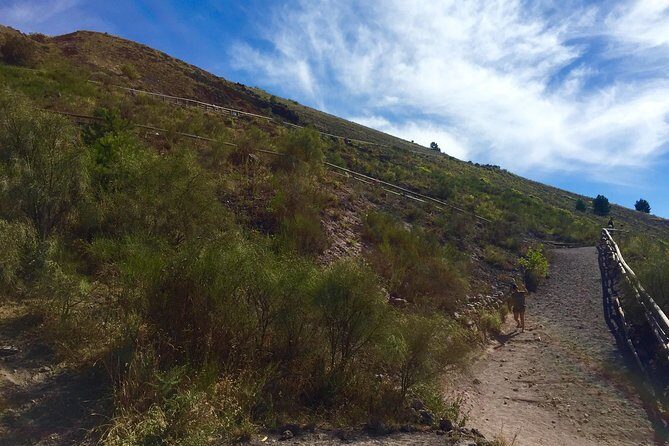 Vintage Van Experience: Tour and Transfer to Mt. Vesuvius - Final Thoughts