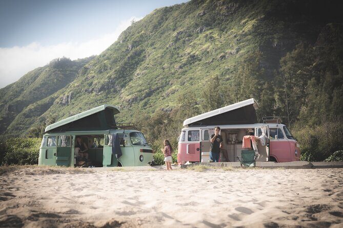 Vintage VW Turtle Tour on the North Shore - Who Is This Tour Best Suited For?