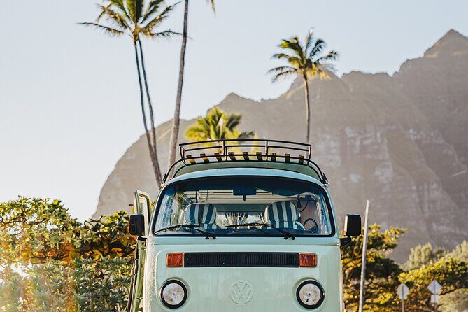 Vintage VW Turtle Tour on the North Shore - The Sum Up