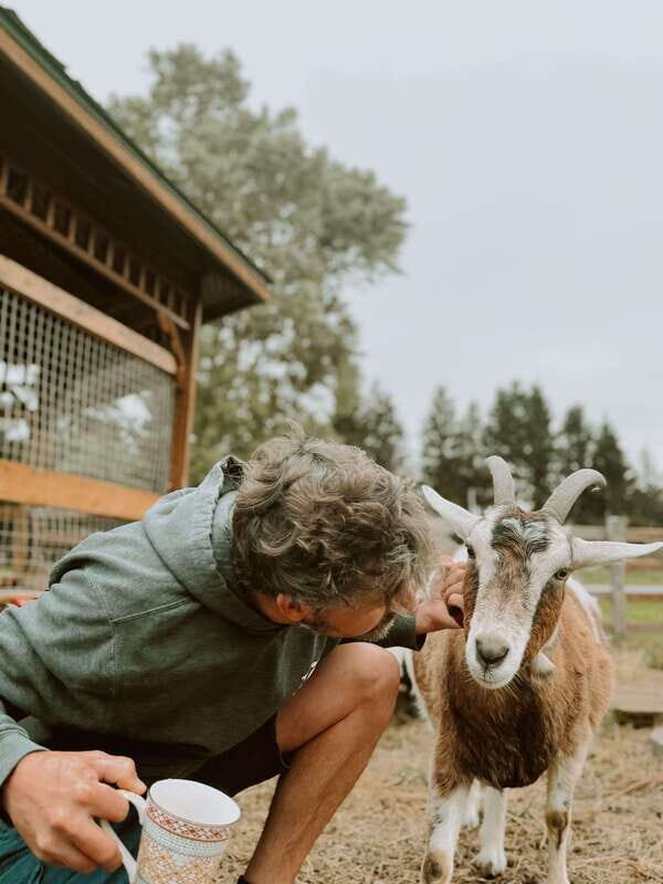 VIP Agritourism Tour of Île d'Orléans & Montmorency Fall - Exploring the Details of the Tour