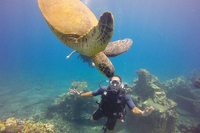 VIP Aloha Nui Snorkel Adventure w/ optional SCUBA from Lahaina - Who Should Consider This Tour?