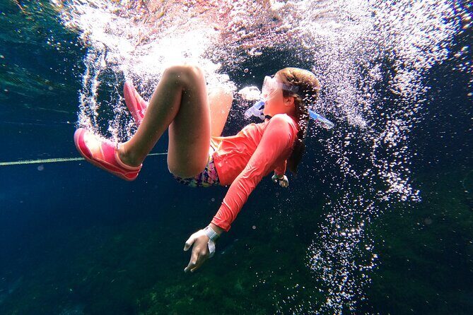 VIP Cenotes Private Tour (half-day) - The Experience Itself: What You Can Expect