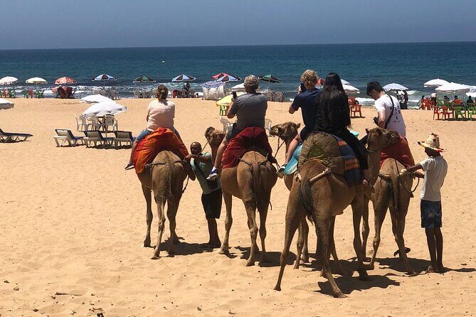 Vip Full Day Private Tangier Tour From Malaga All Inclusive - An In-Depth Look at the Itinerary and Experience