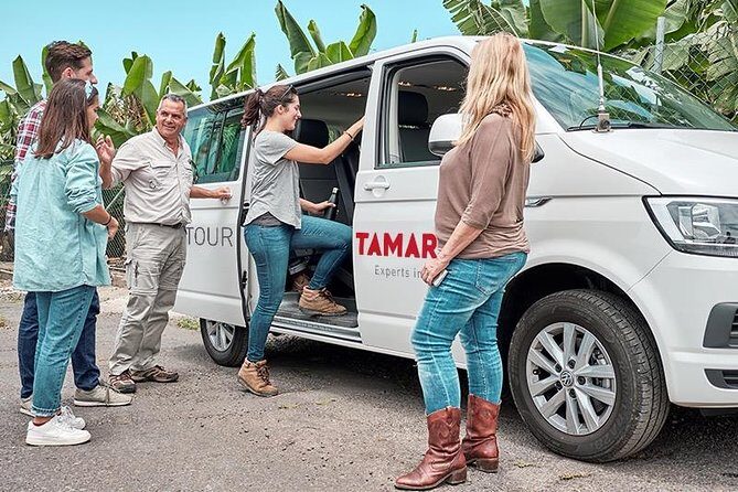 VIP Grand Tour Isla de Tenerife from South Tenerife - Exploring the Tenerife VIP Grand Tour: An Authentic Day of Island Wonders