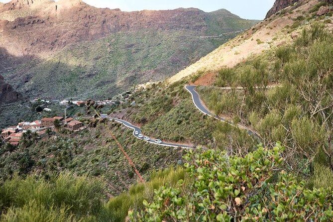 VIP Grand Tour Isla de Tenerife from South Tenerife - Who Will Love This Tour?