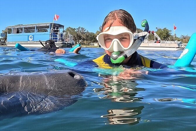 VIP Guided Swim with Manatee Tour Crystal River FL Free Photos - Introduction