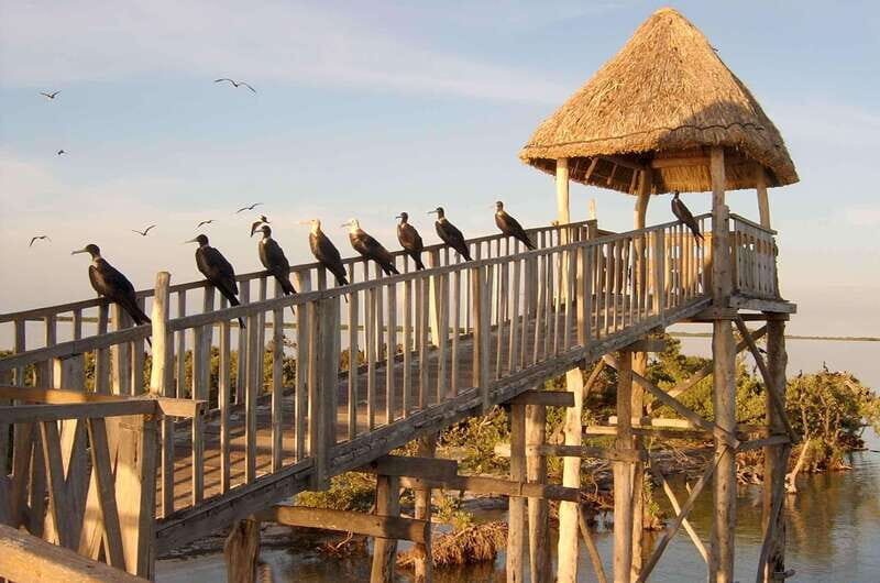 VIP Holbox Island Sunrise - 2 Points + Fruit + Coffee - Discover the Magic of the VIP Holbox Island Sunrise Tour