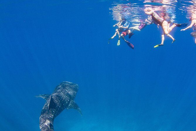 VIP luxury chartered escapes, exploring the reef at your own pace - FAQ