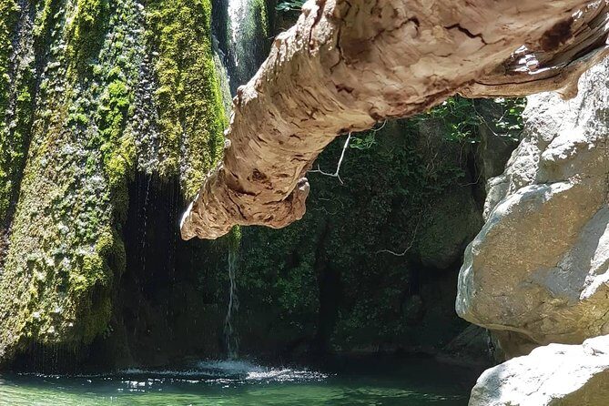 VIP Luxury Private Tour- Half Day - 4x4 Excursion with Land Rover - What the Tour Includes and What It Doesn’t