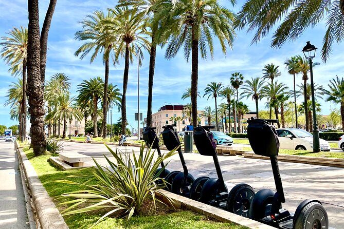 VIP Private Segway Tour of Palma - Who Will Love This Tour?