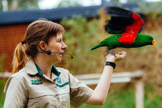 VIP Sanctuary Tour at Healesville Sanctuary - excl. entry - Frequently Asked Questions