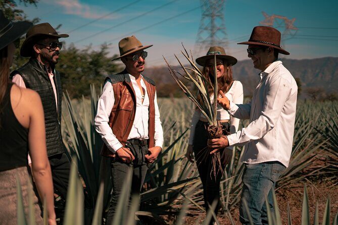 Vip Tequila Experience - Analyzing Value: Is It Worth It?