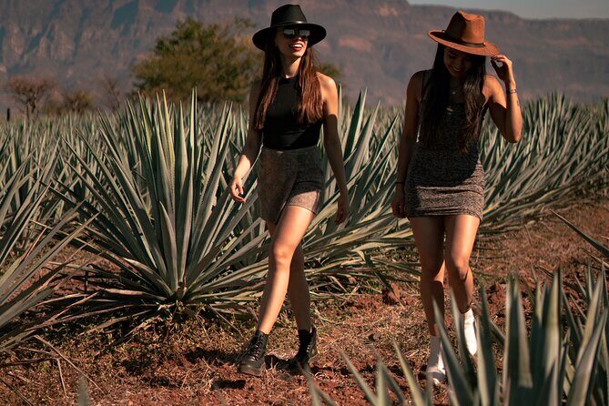 VIP Tequila Night Tour with Dinner and Tasting - Why This Tour Works for You
