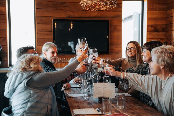 VIP Wine Experience from Queenstown Including Gourmet Lunch. - Introduction