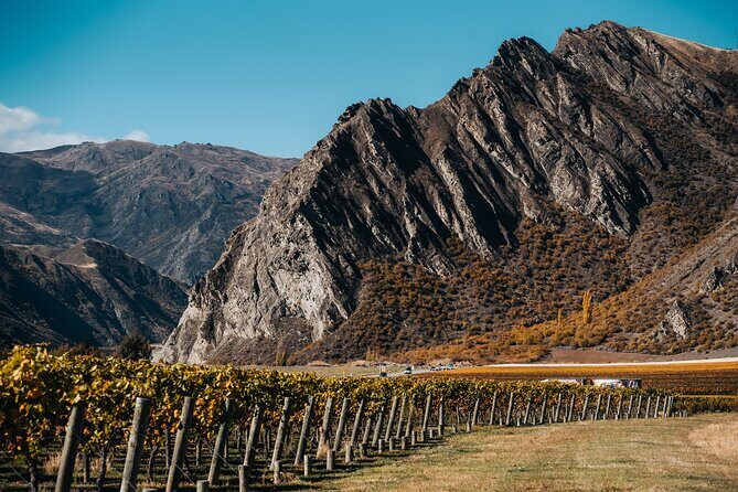 VIP Wine Experience from Queenstown Including Gourmet Lunch. - FAQ