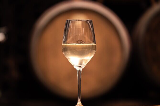 Vipava Valley Wine Express Tour From Ljubljana - The First Stop: Vipava Town